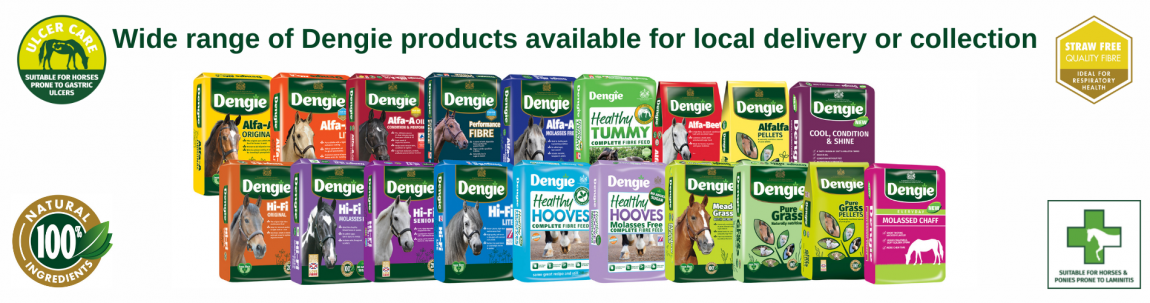 Welcome to Edwin Tucker's