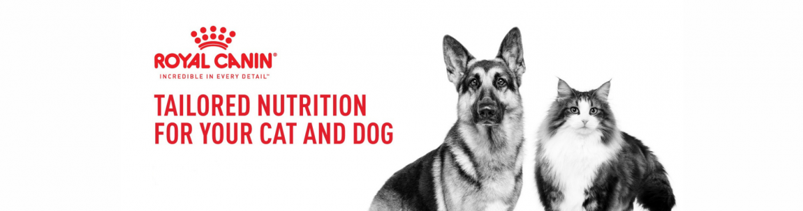 Welcome to Edwin Tucker's