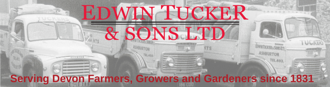 Welcome to Edwin Tucker's