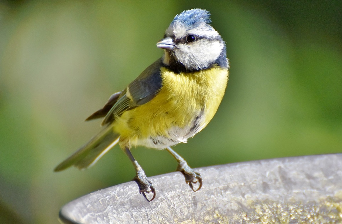 Welcome to Edwin Tucker's