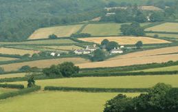 Welcome to Edwin Tucker's