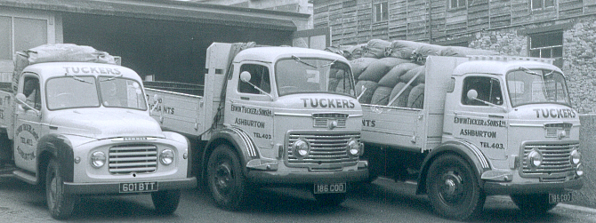 Welcome to Edwin Tucker's